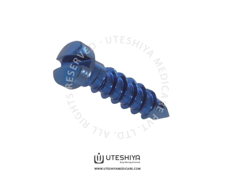 Mini Screw (Single Slotted Head) Self Drilling | Uteshiya Medicare